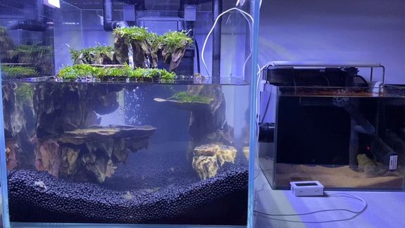 松皮石骨架造景 一直没啥进展ߘ�不知道怎么整了