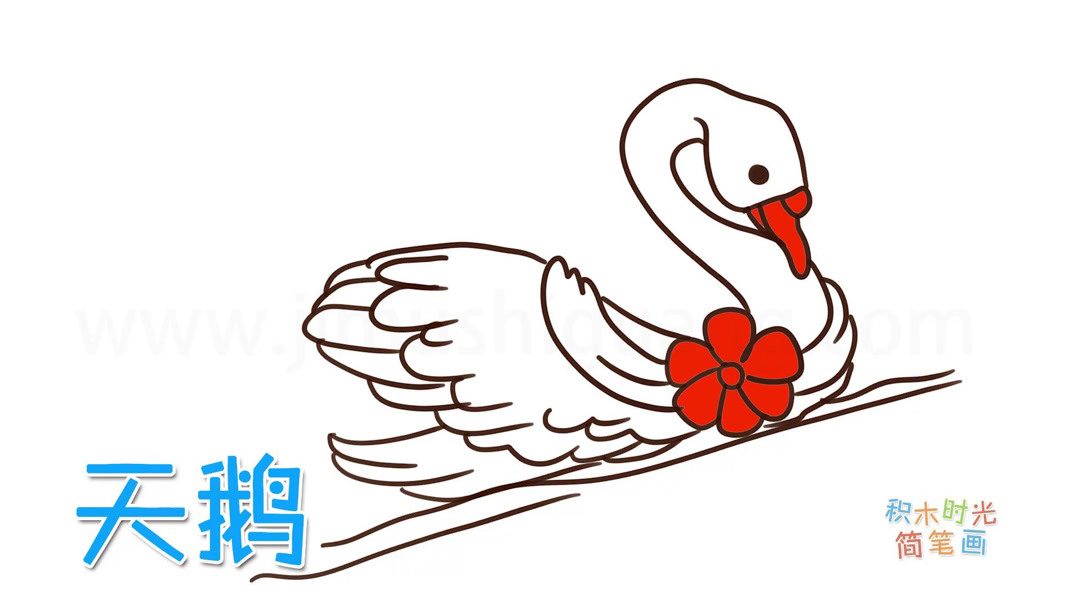 动物简笔画大全,画一只害羞的天鹅简笔画