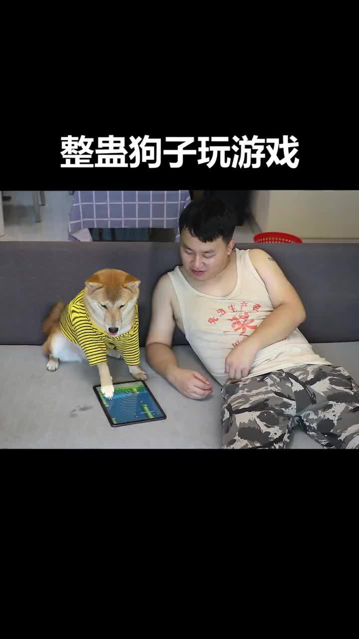 狗:你怎么跟狗一样。