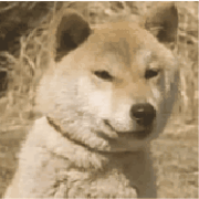 姐我浑身难受 