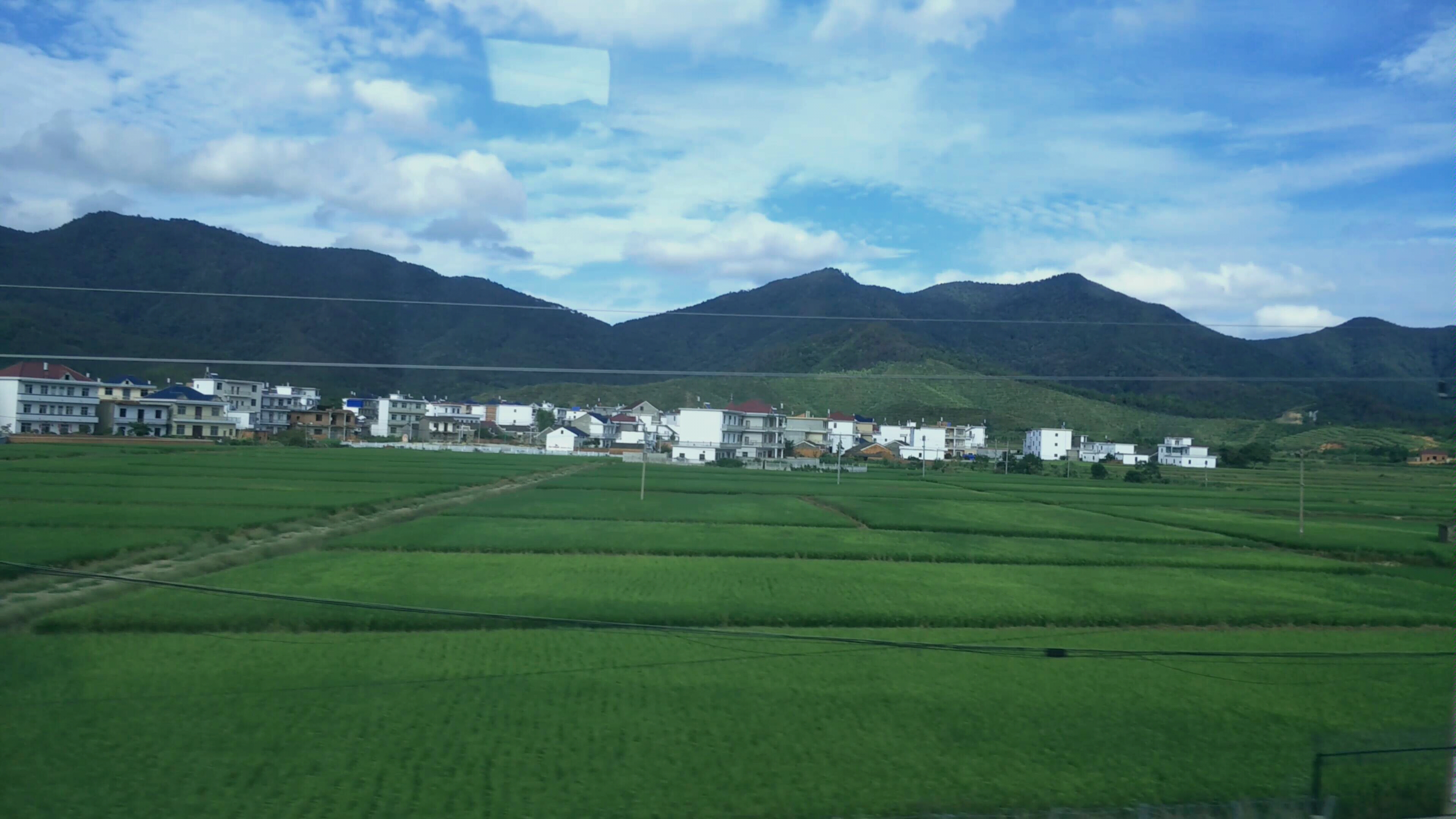 第一次坐动车的风景