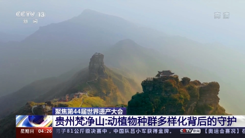 [新闻直播间]聚焦第44届世界遗产大会 贵州梵净山:动植物种群多样化...