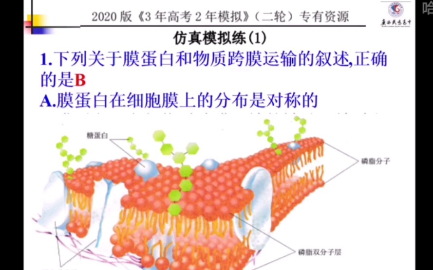 3.11生物仿真模拟1、2