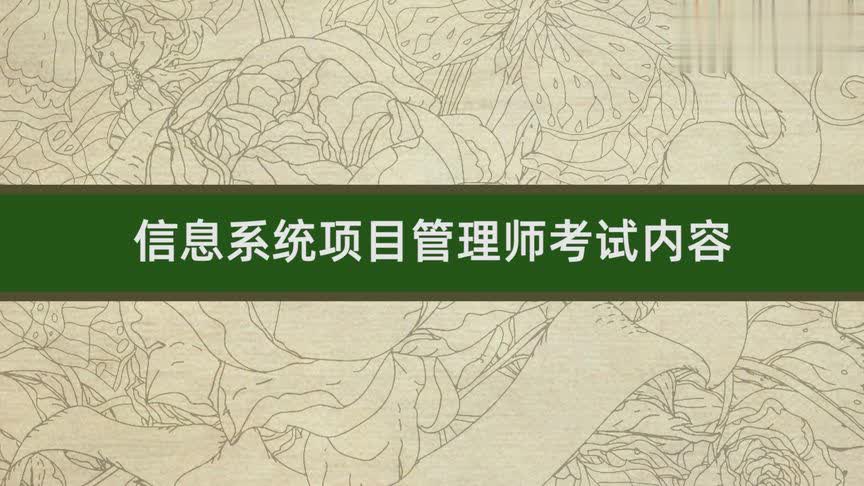 信息系统项目管理师考试内容