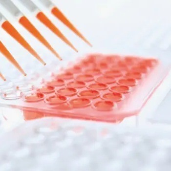 体外诊断注册资料分享 