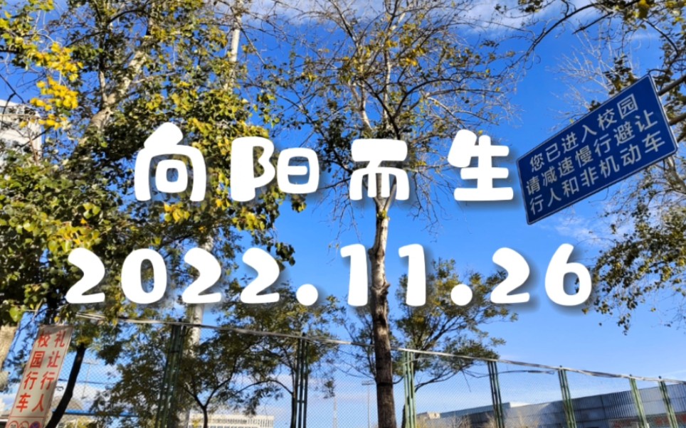 Day256|倒计时⏰27天|1126|周六|没想到傍晚六点的校园就已经如此...