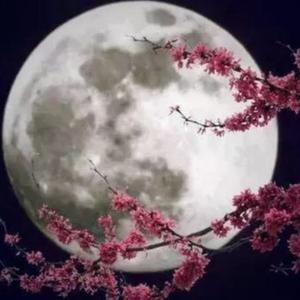 自学中医啦 