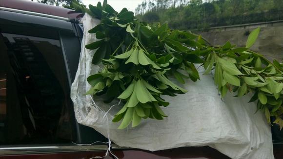 农村小伙今天去修朋友的车,各种费用损失1500元,这生活太苦了