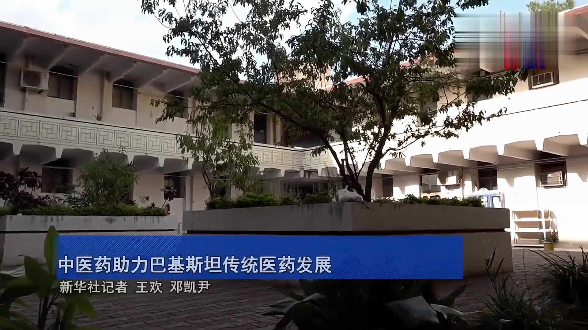 全球连线|中医药助力巴基斯坦传统医药发展