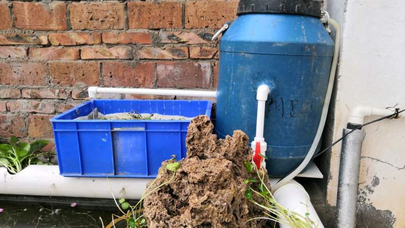 买过滤桶太贵不划算,自己动手做一个超大过滤桶,过滤效果很棒