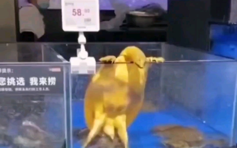 石家庄疫情总算【又】告一段落,【魔性模版】骑行跃跃欲试:先从打气...