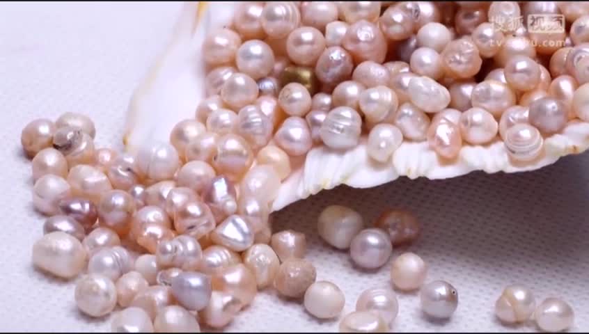 三分钟专业的告诉你淡水珍珠和海水珍珠有什么差别,千万别被骗了