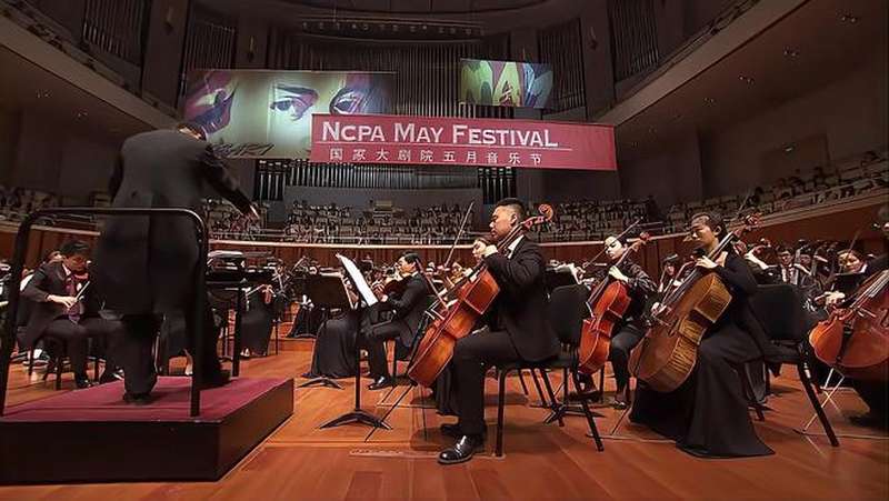 青马学员说|共同富裕如何理解?听青马人讲述!