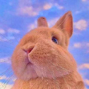 百万播放一分钱 
