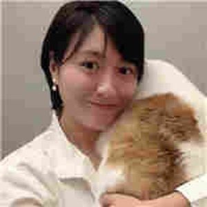 众智城官方账号