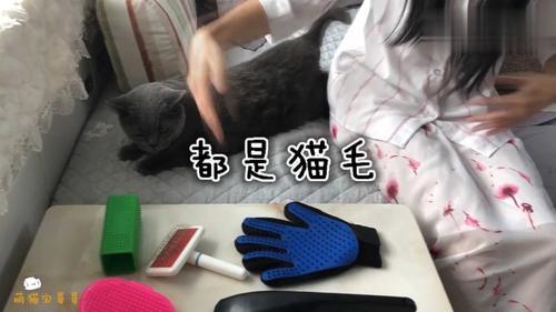 猫毛大作战!看这位养猫小姐姐如何清理家里满天飞的猫毛吧!