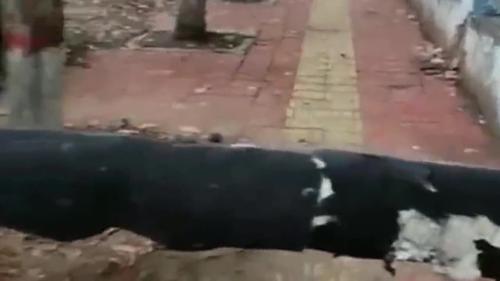 设计这管道的给我出来,完全就是个人才,有考虑过别人的感受吗?