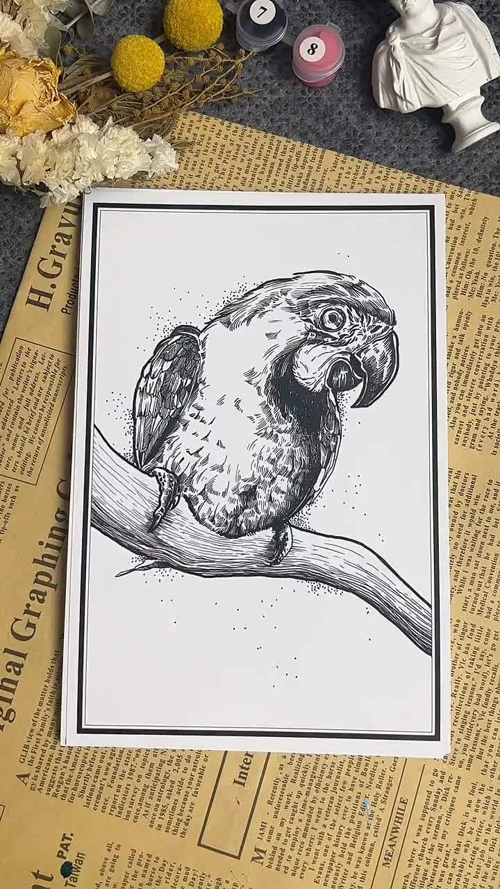 ...b>线描来了,线描画画起来相对轻松容易上手,是练习线条...