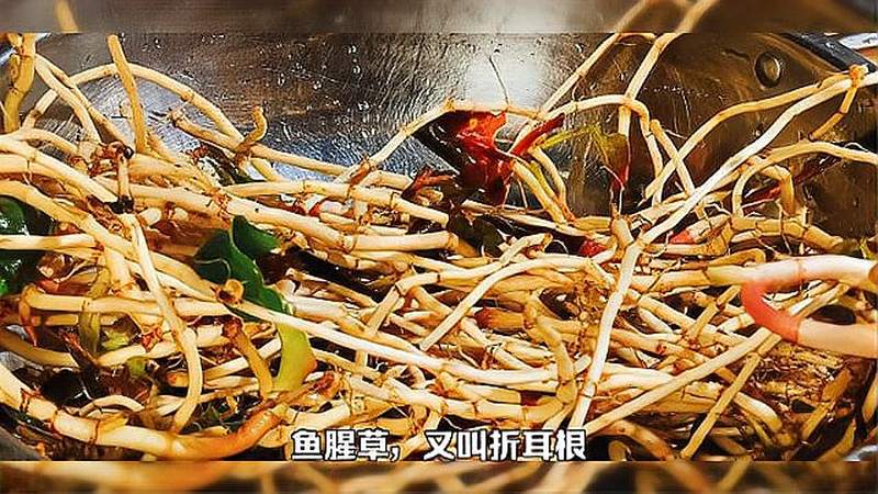 含“致癌”成分,鱼腥草还能吃吗?