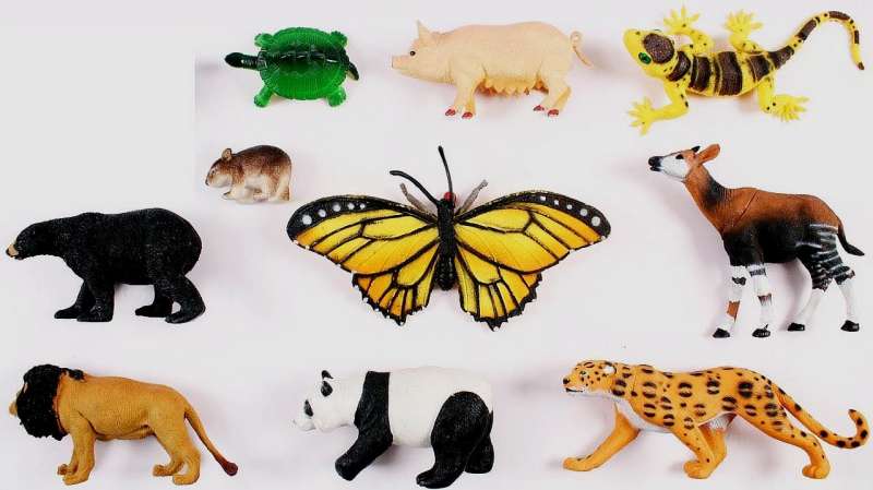 森林动物模型展示