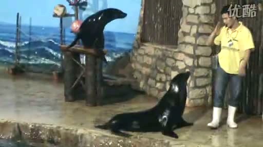 海底世界 02(佛山市小学语文新课程优质课示范课例)