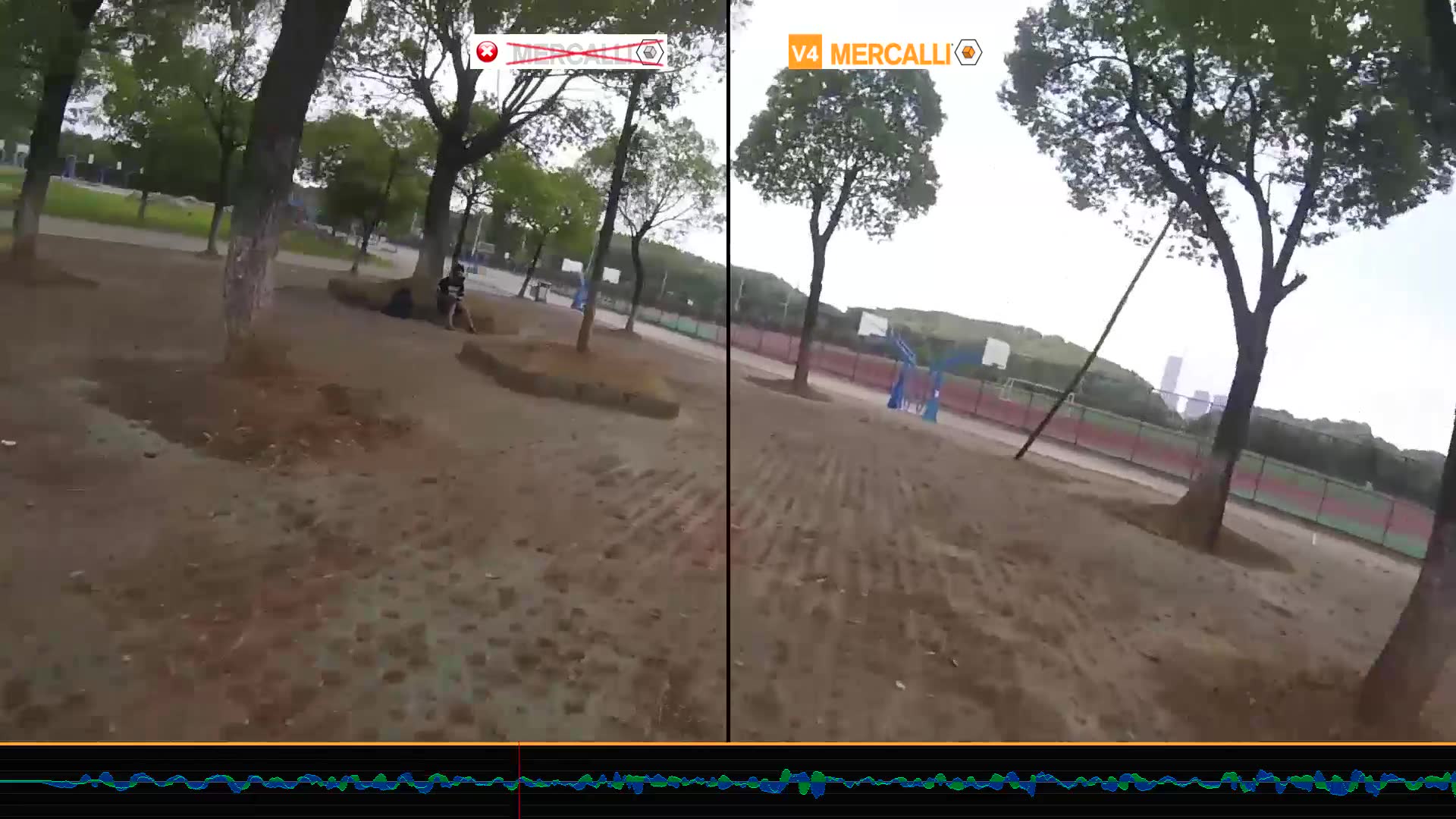 ProDAD Mercalli 防抖插件对比