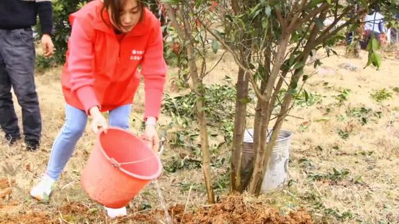 植树节快乐ߘ�#记录生活