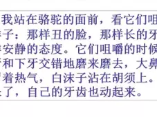 03翻转课堂与微课——-五年级语文(一)1