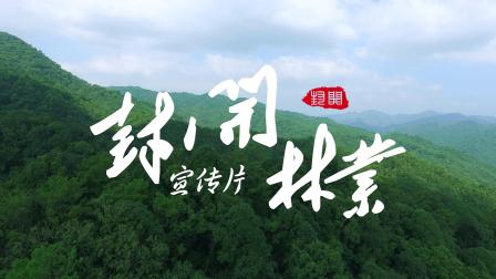 封开县林业宣传片