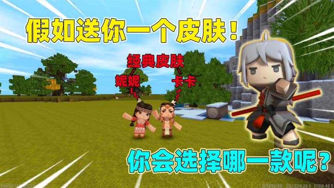 迷你世界:假如迷你世界送你一个皮肤!你会选择那个皮肤呢?