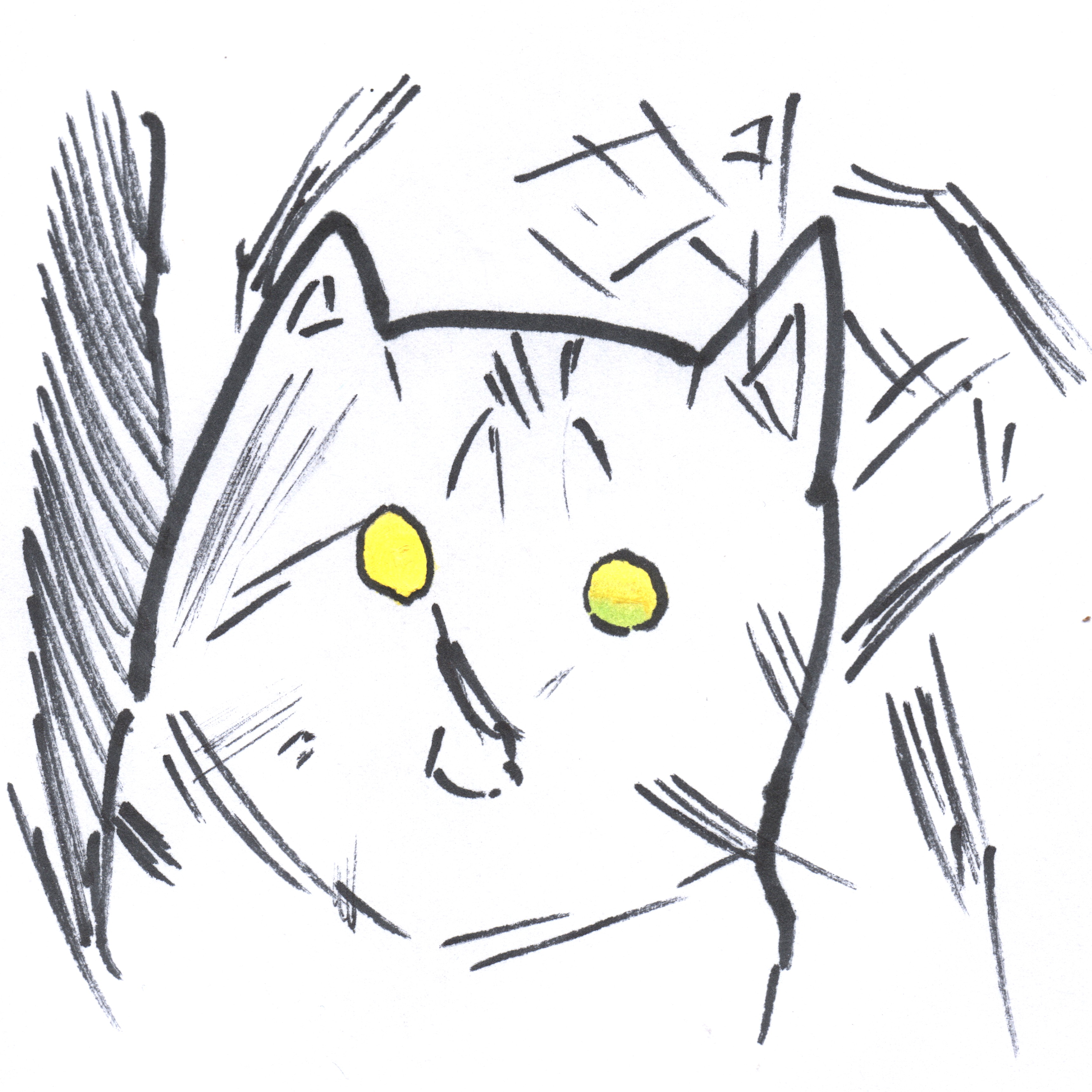 不适宜已被管理员清除 