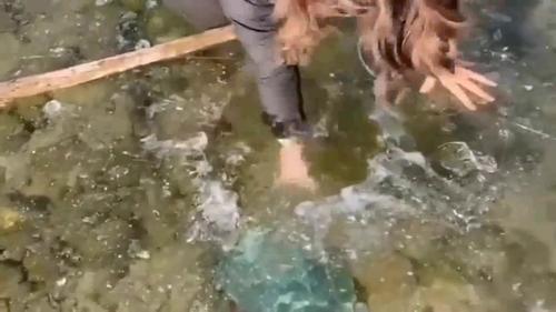 来到村里的小河边,里面居然有玉石