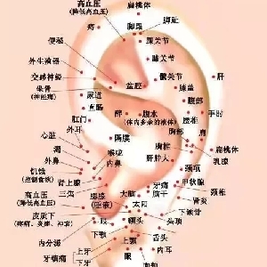杏林渔与鱼 