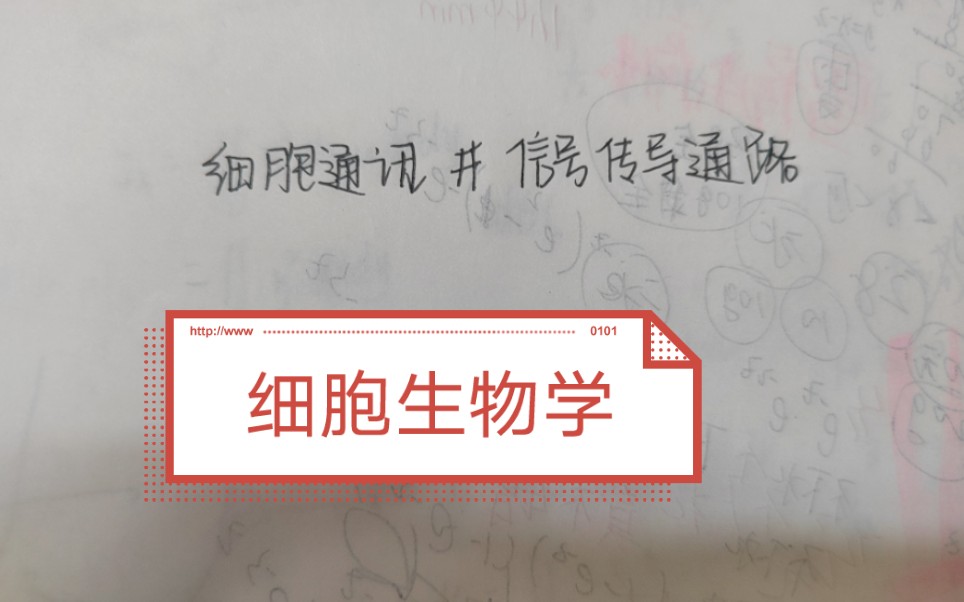 细胞通讯#信号传导通路#细胞生物学