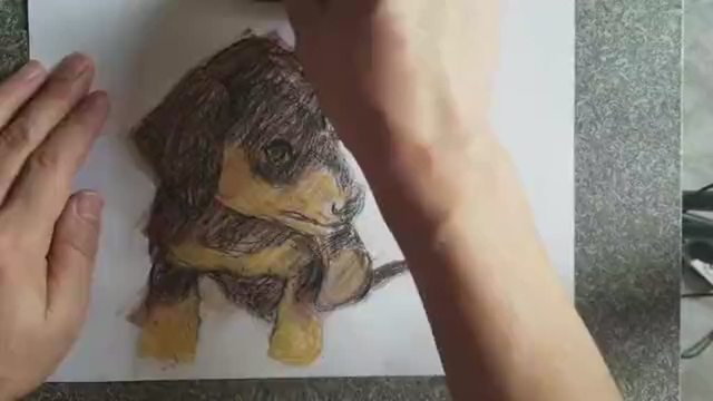 40分钟画小狗,看了开头想不到结尾能这么好看,学到了
