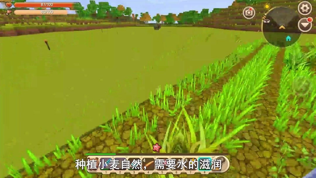 迷你世界极限生存33:为了能尽早过上小康生活,我又扩建了麦田