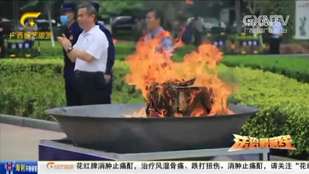 百色市2020年国际禁毒日主题宣传活动启动,现场公开焚烧部分毒品