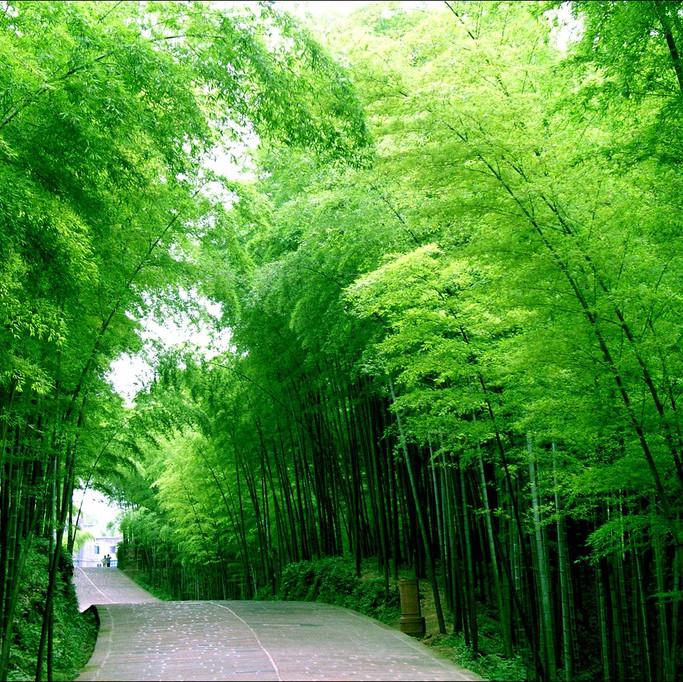 润清话画 