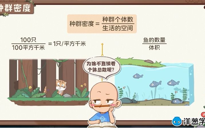 种群的数量特征 生物