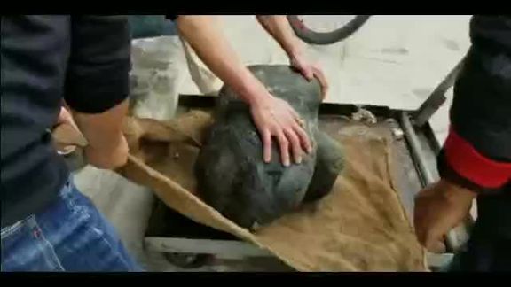 被忽悠买的一块翡翠原石,切开手镯一箩筐,这运气被天养了吧?