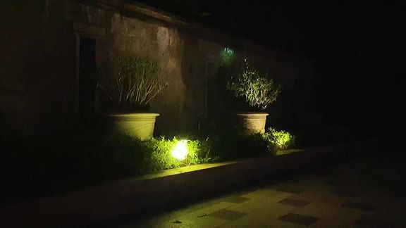 #景观设计 #私家庭院 #向往的生活 #植物造景微景观