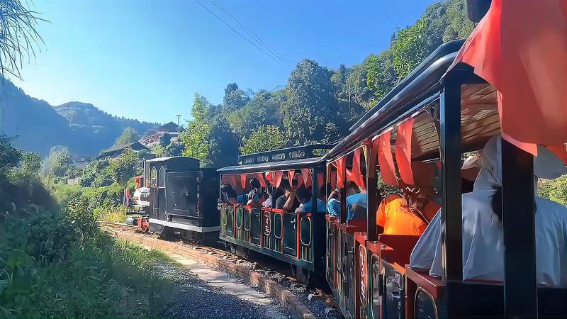 旅游观光列车 景区公园游乐设备 电动网红轨道小火车