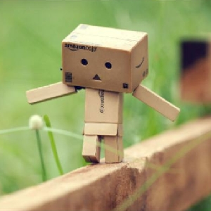 Pser_hanser 