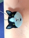 羊毛毡仿真猫咪制作过程(四)