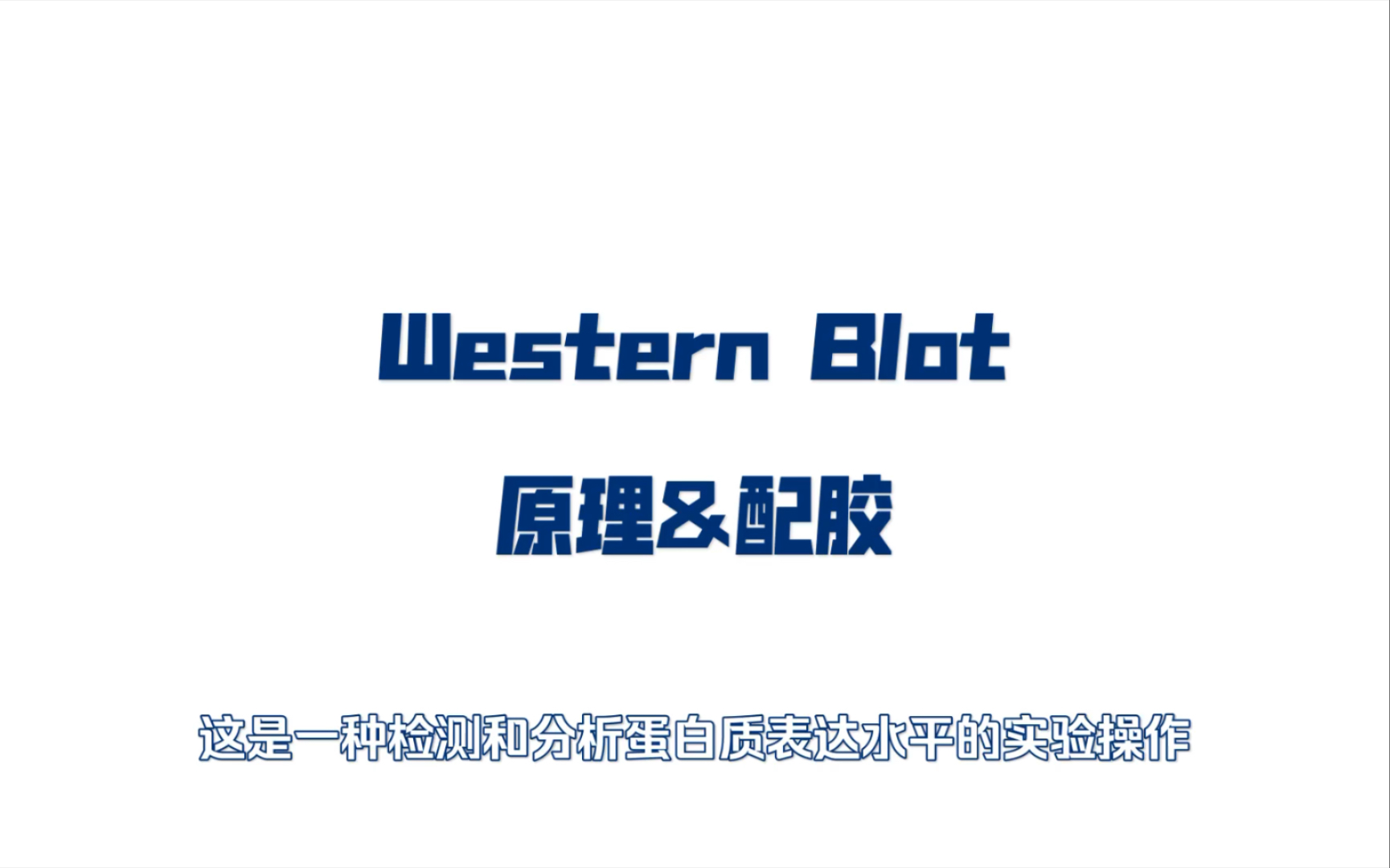 手把手教你做实验_Western Blot (原理&配胶)