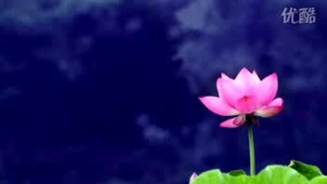 荷塘月色0作者:朱自清0朗诵:珍惜.flv