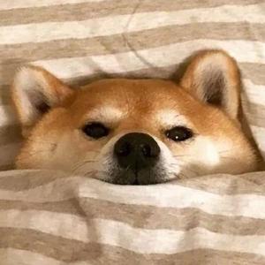 秋水 