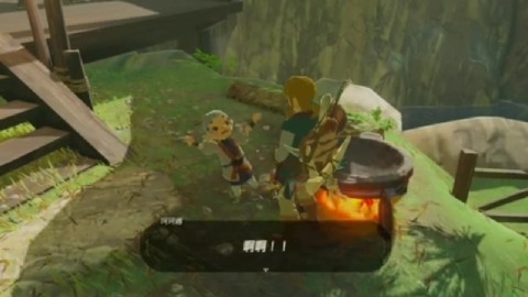 【大白】塞尔达传说旷野之息11公主的讯息拯救四神兽