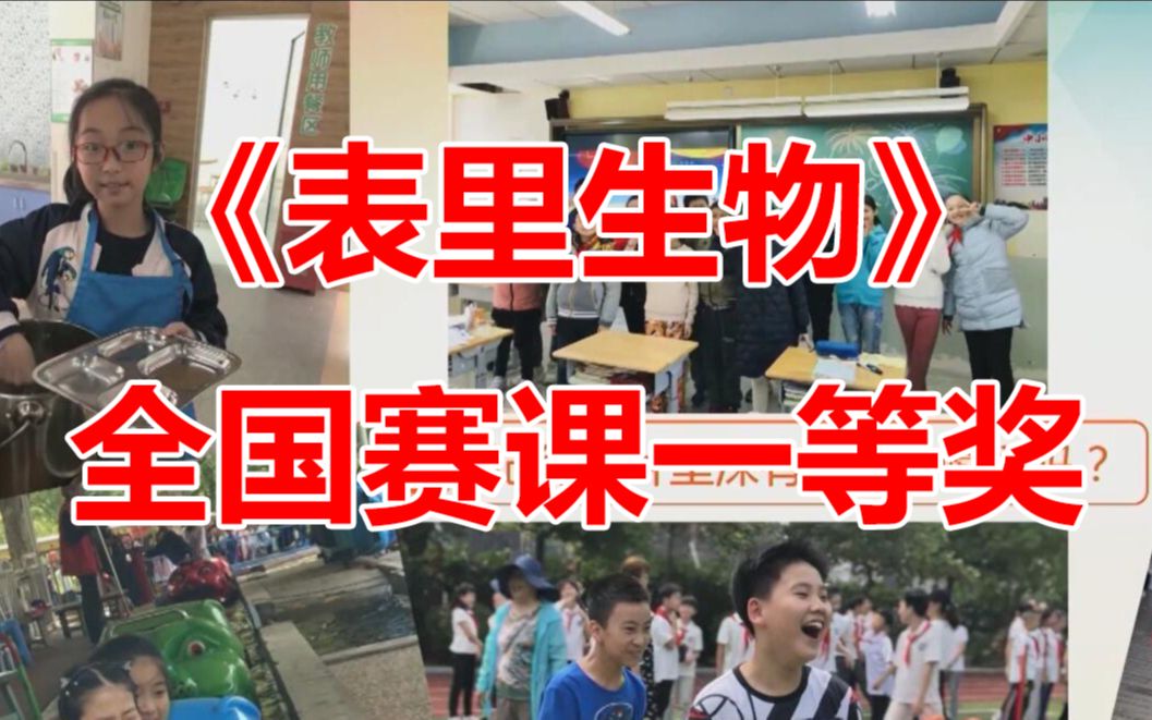 《表里的生物(第二课时)》优质课公开课 全国一等奖 新课标 小学语文...