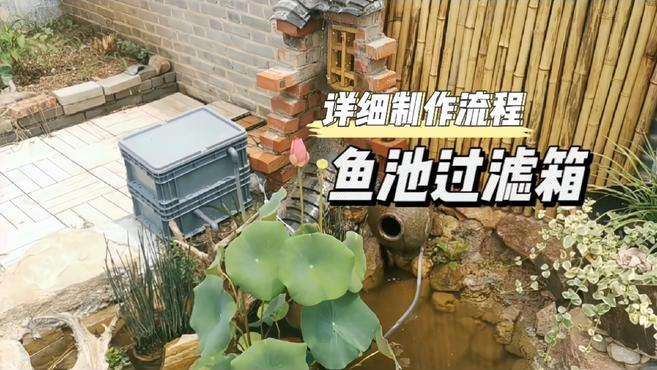 DIY自制鱼池过滤周转箱过滤系统制作全过程省钱又实用的过滤器
